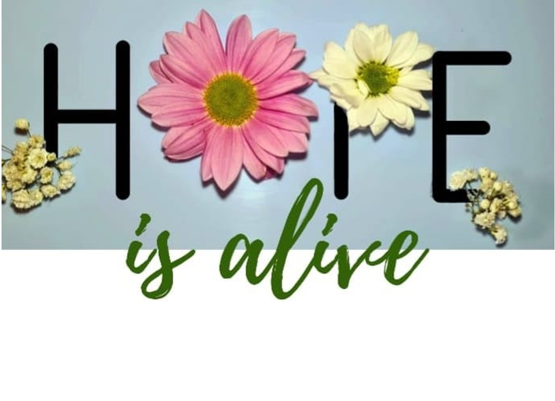 hope is alive - Don Bosco